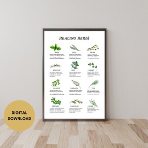Healing Herbs Print, Digital Download, Herbs Poster, Herb Guide, Herb ...
