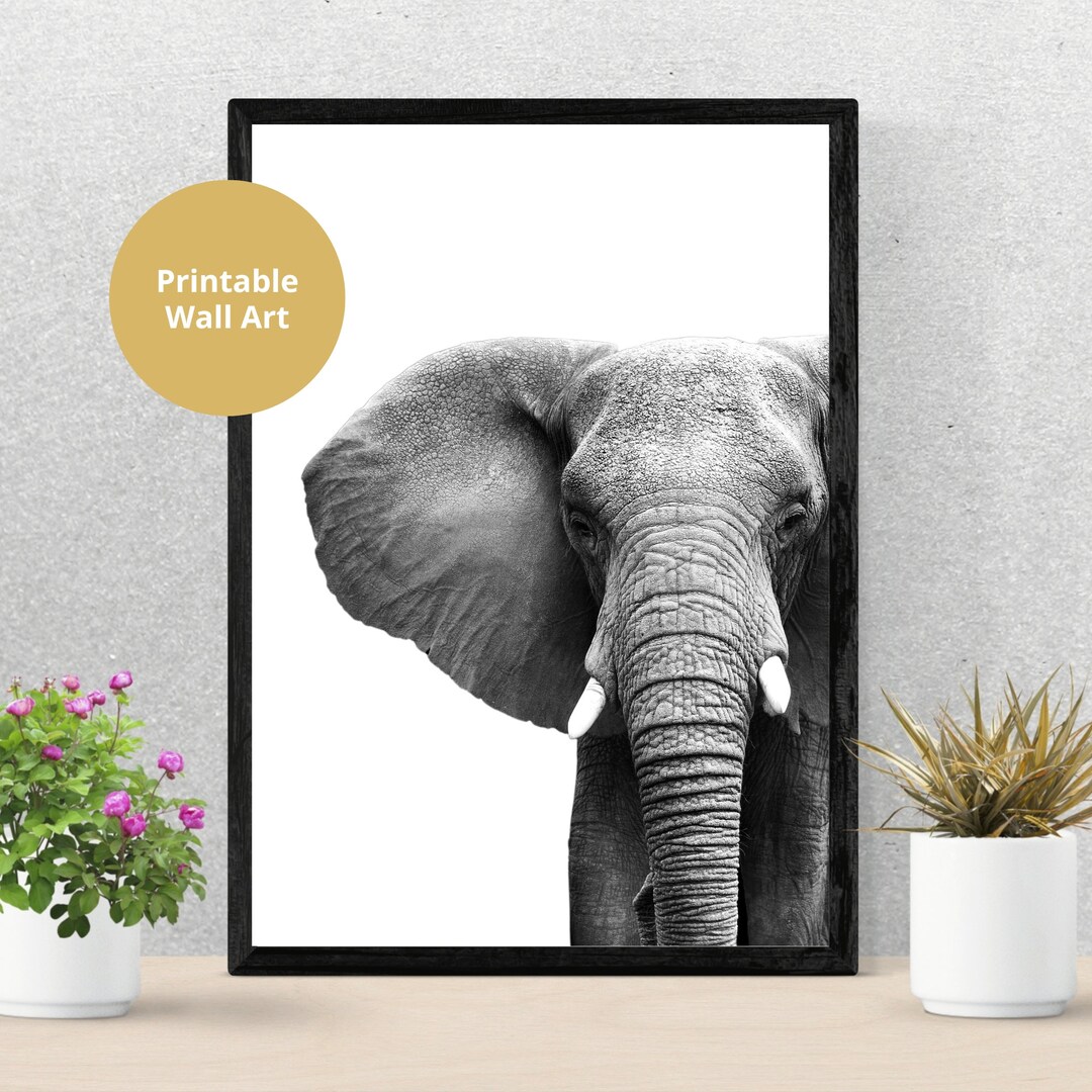 Elephant Print Digital Download Cool Elephant Photo Black and - Etsy