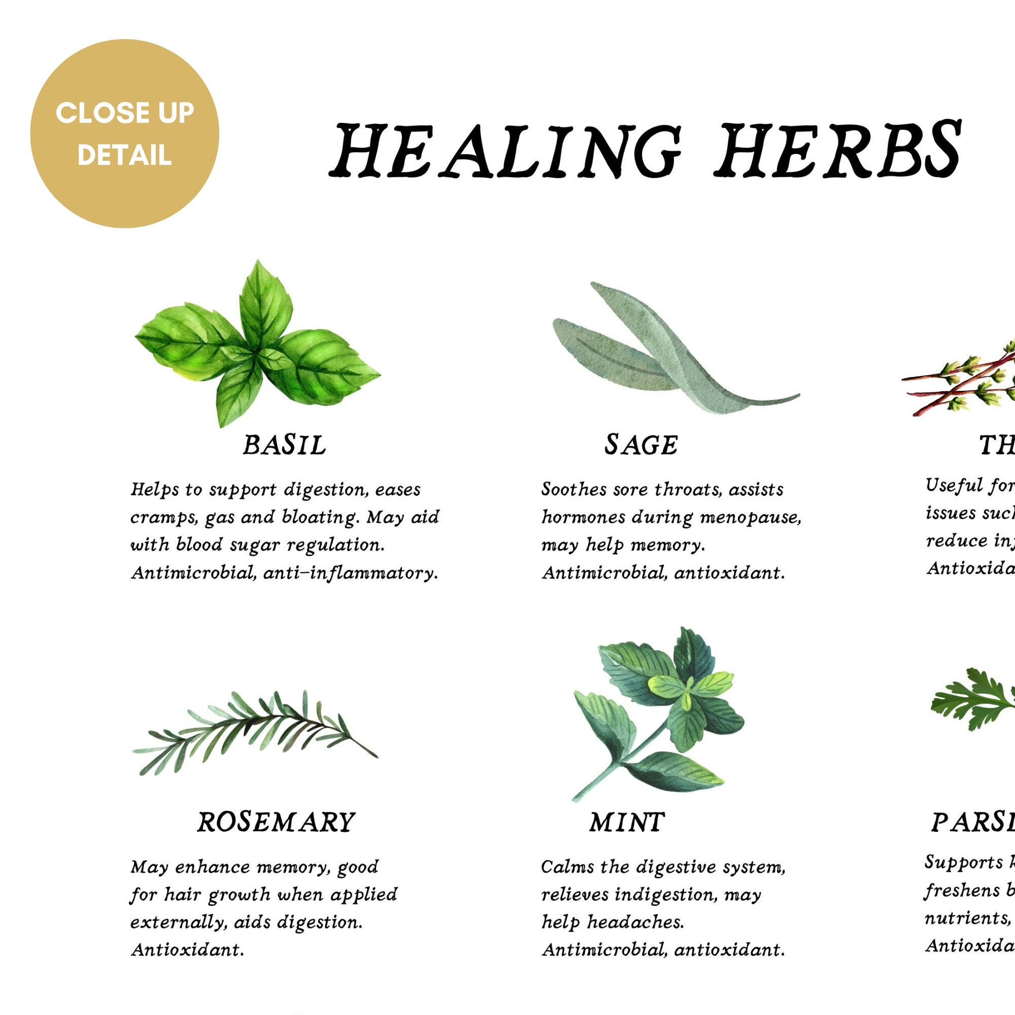 Healing Herbs Print, Digital Download, Herbs Poster, Herb Guide, Herb ...