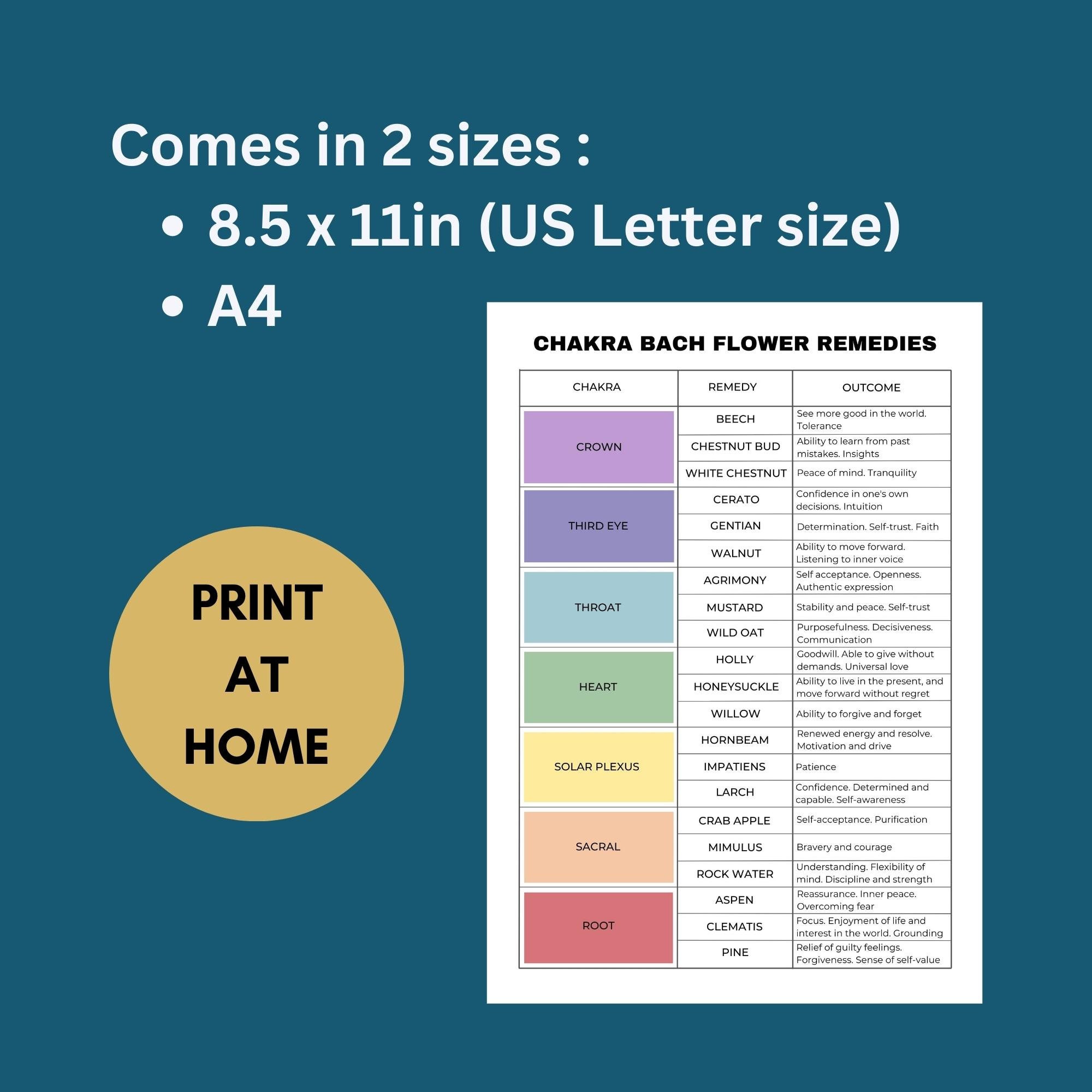 Chakra Bach Flower Remedies Chart, Digital Download, Chakra Flower ...