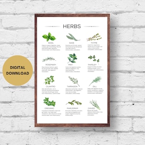 Herbs and Spices Print Set, Digital Download, Herbs and Spice for ...