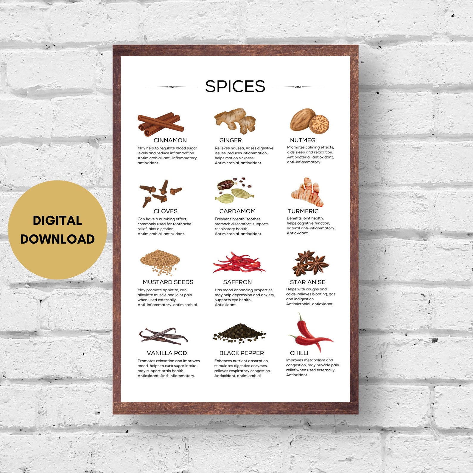 Herbs and Spices Print Set, Digital Download, Herbs and Spice for ...
