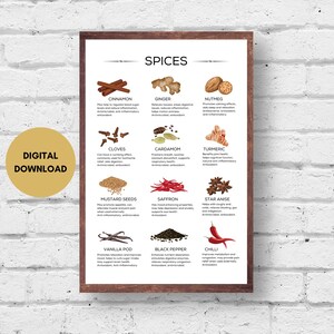 Herbs and Spices Print Set, Digital Download, Herbs and Spice for ...