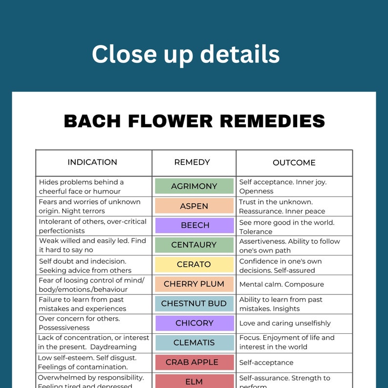Bach Flower Bundle, Bach Flower Remedies Guide, Chakra Bach Flower ...