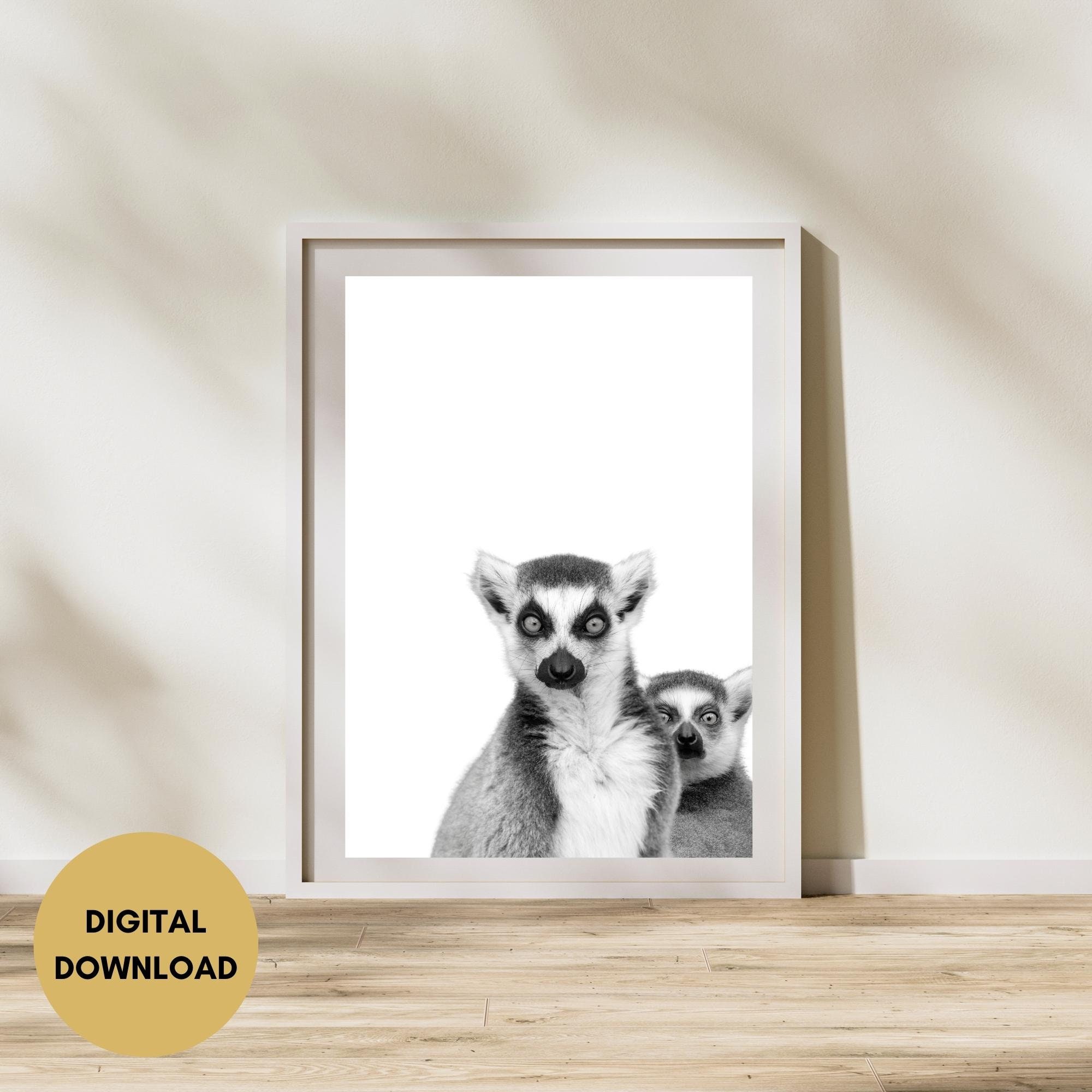 Lemur Printable, Digital Download, Black and White, Photo, Funny, Crazy ...