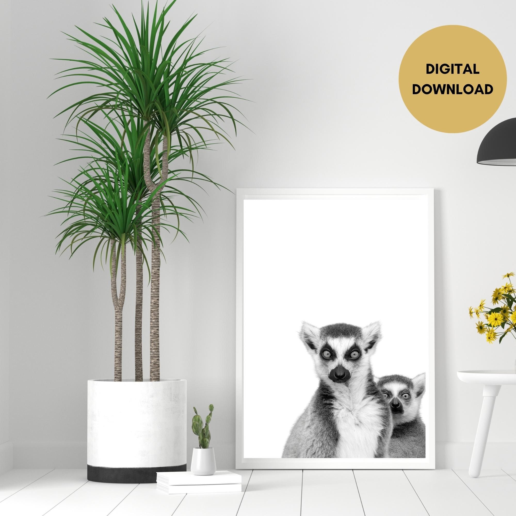 Lemur Printable, Digital Download, Black and White, Photo, Funny, Crazy ...