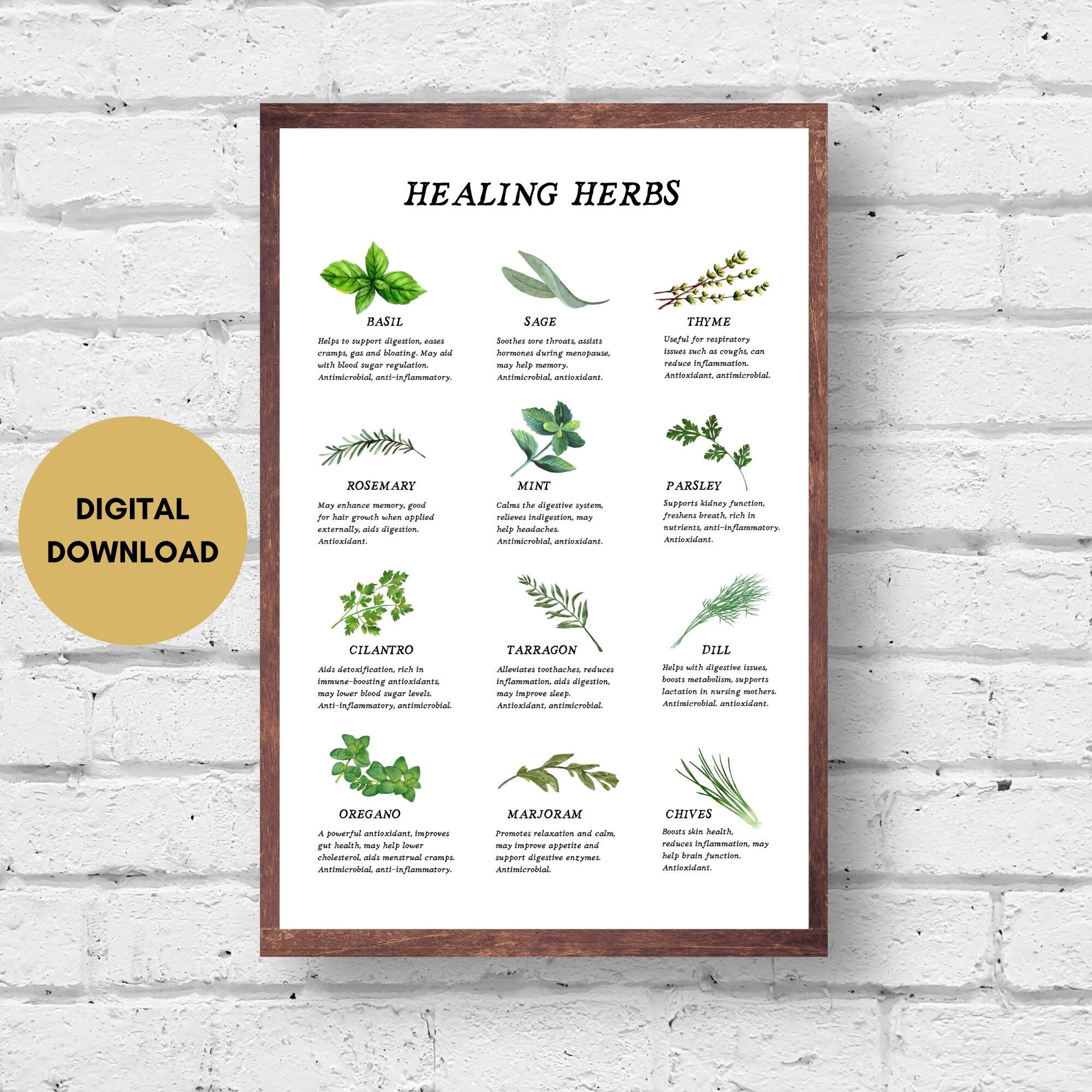Healing Herbs Print, Digital Download, Herbs Poster, Herb Guide, Herb ...