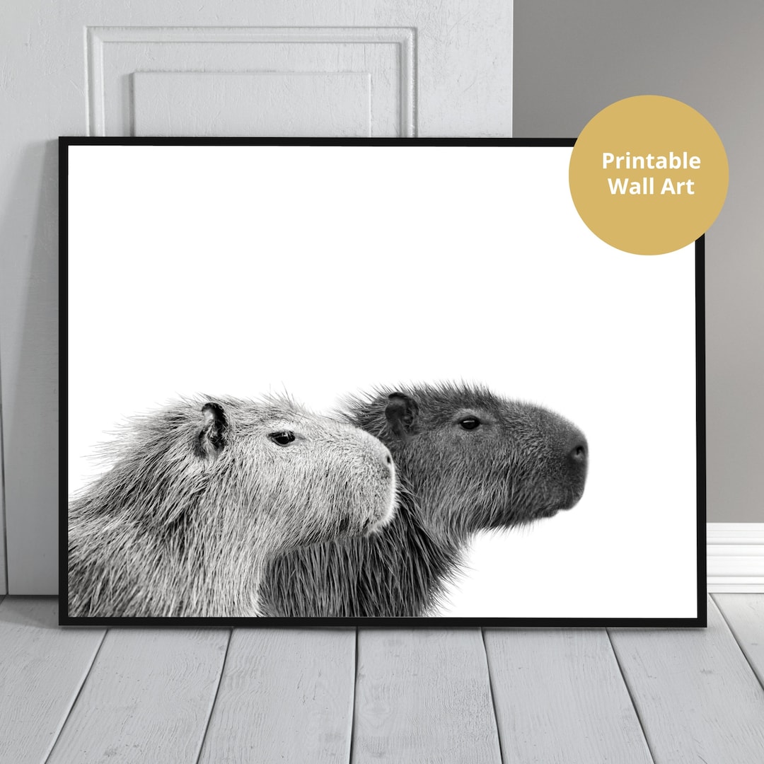 Capybara Print Digital Download, Cool Capybara Photo Black and White ...