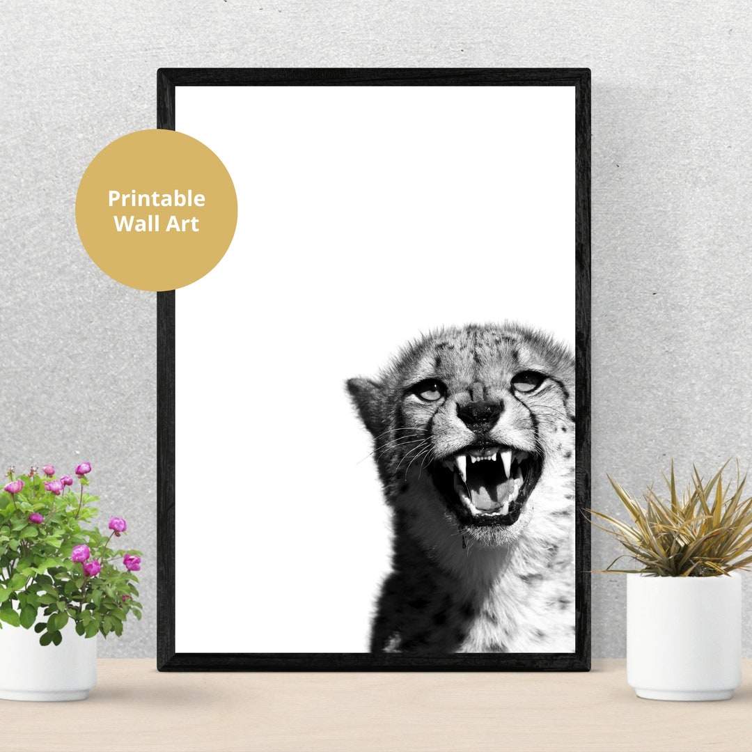 Cheetah Print Digital Download, Cool Cheetah Photo Black and White ...