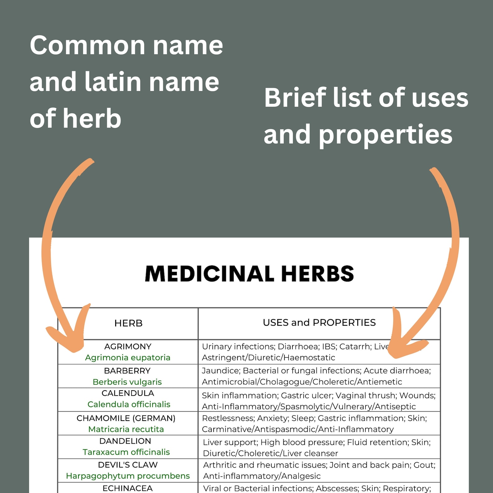 Medicinal Herb Guide, Digital Download, Herb Reference Guide, Herb ...
