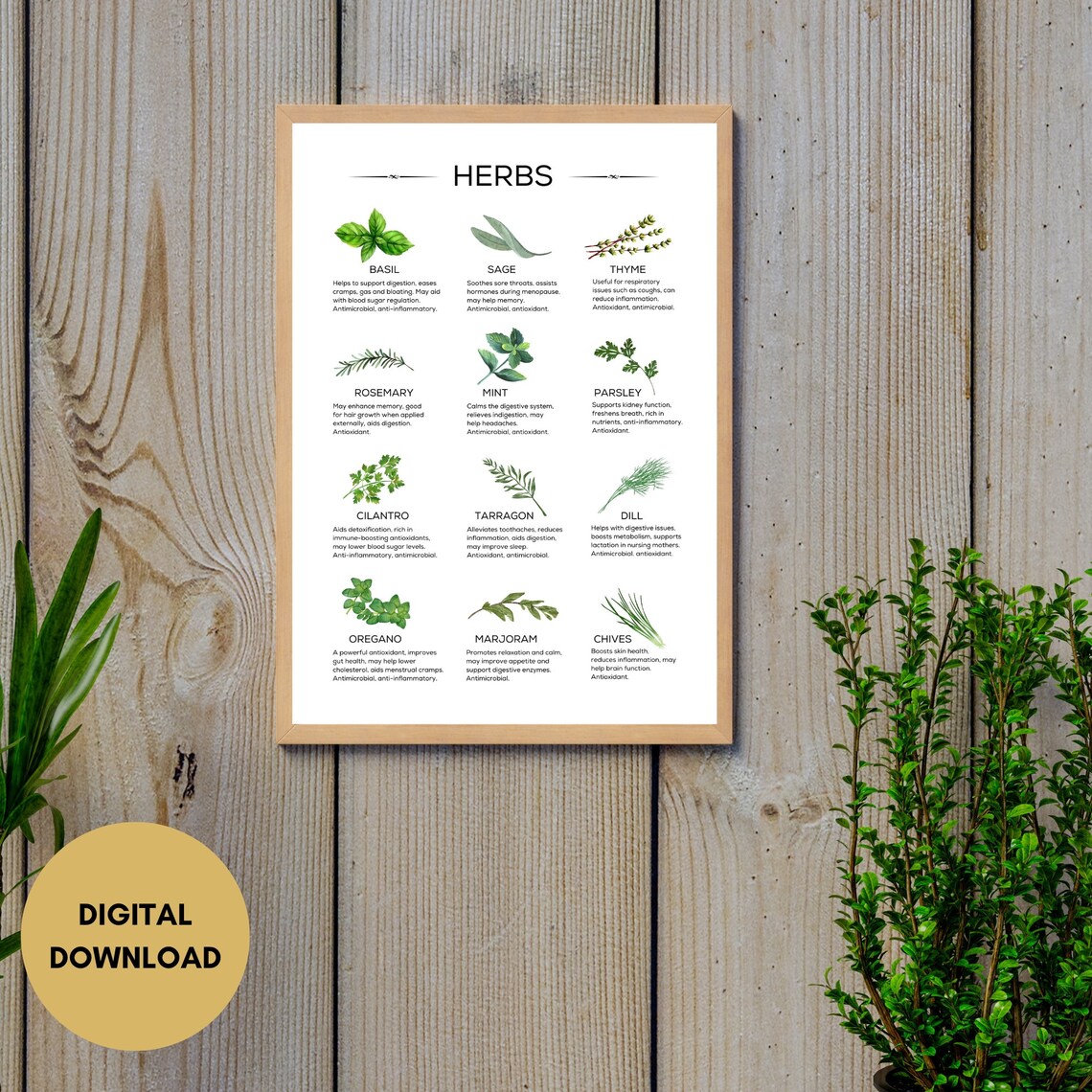 Herbs for Health Print, Digital Download, Herbs Poster, Herb Guide ...
