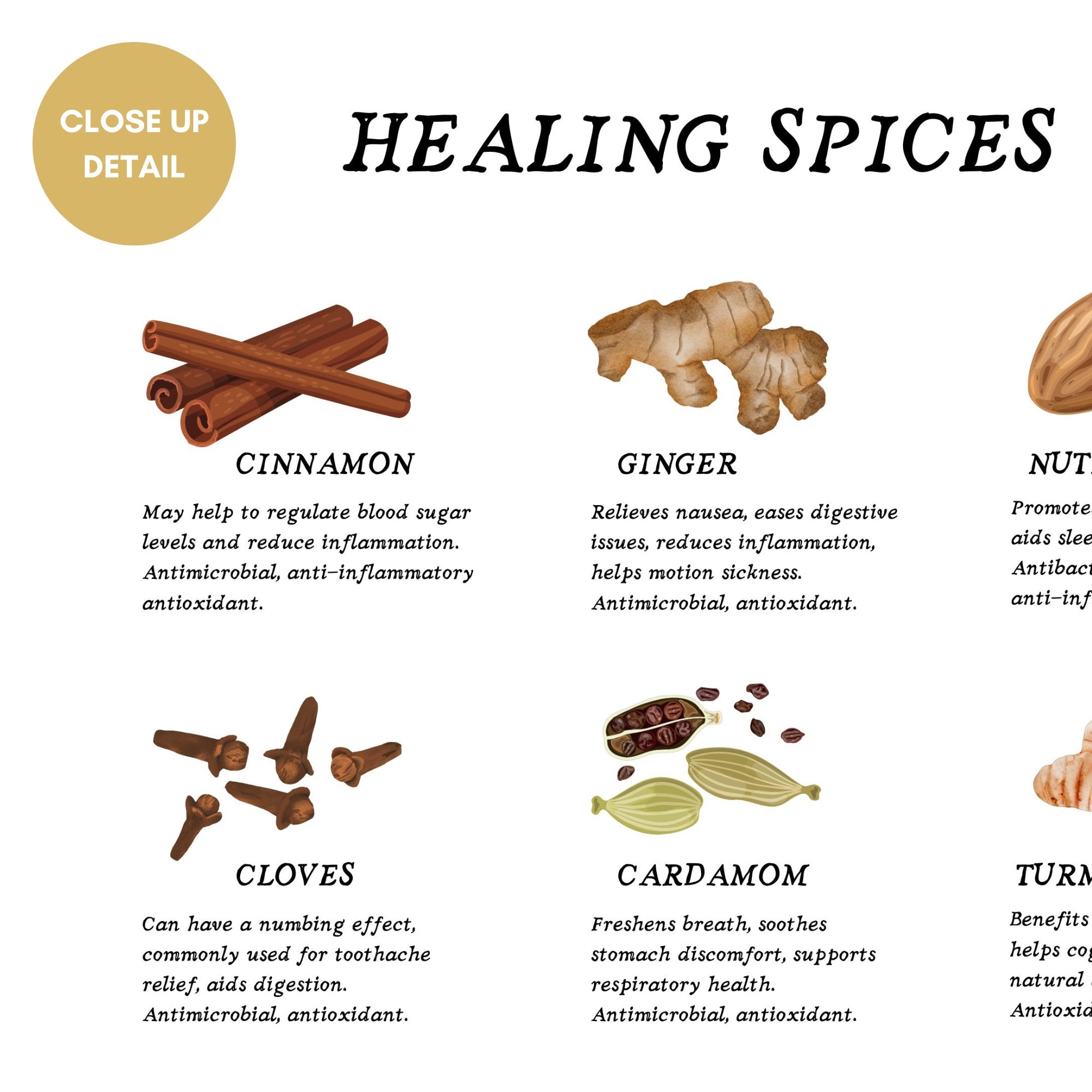 Healing Spices Print, Digital Download, Spice Poster, Spice Guide ...