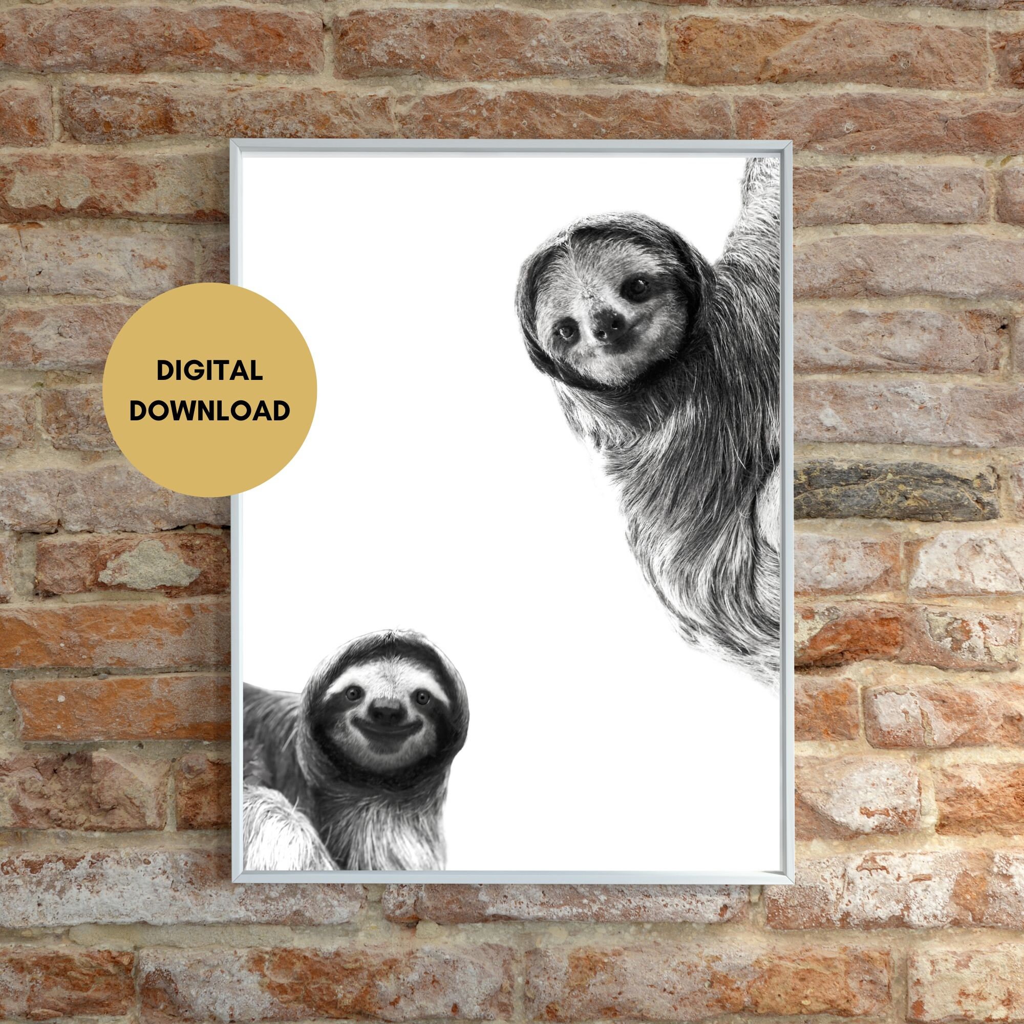 Sloth Printable, Digital Download, Black and White, Photo, Funny, Crazy ...