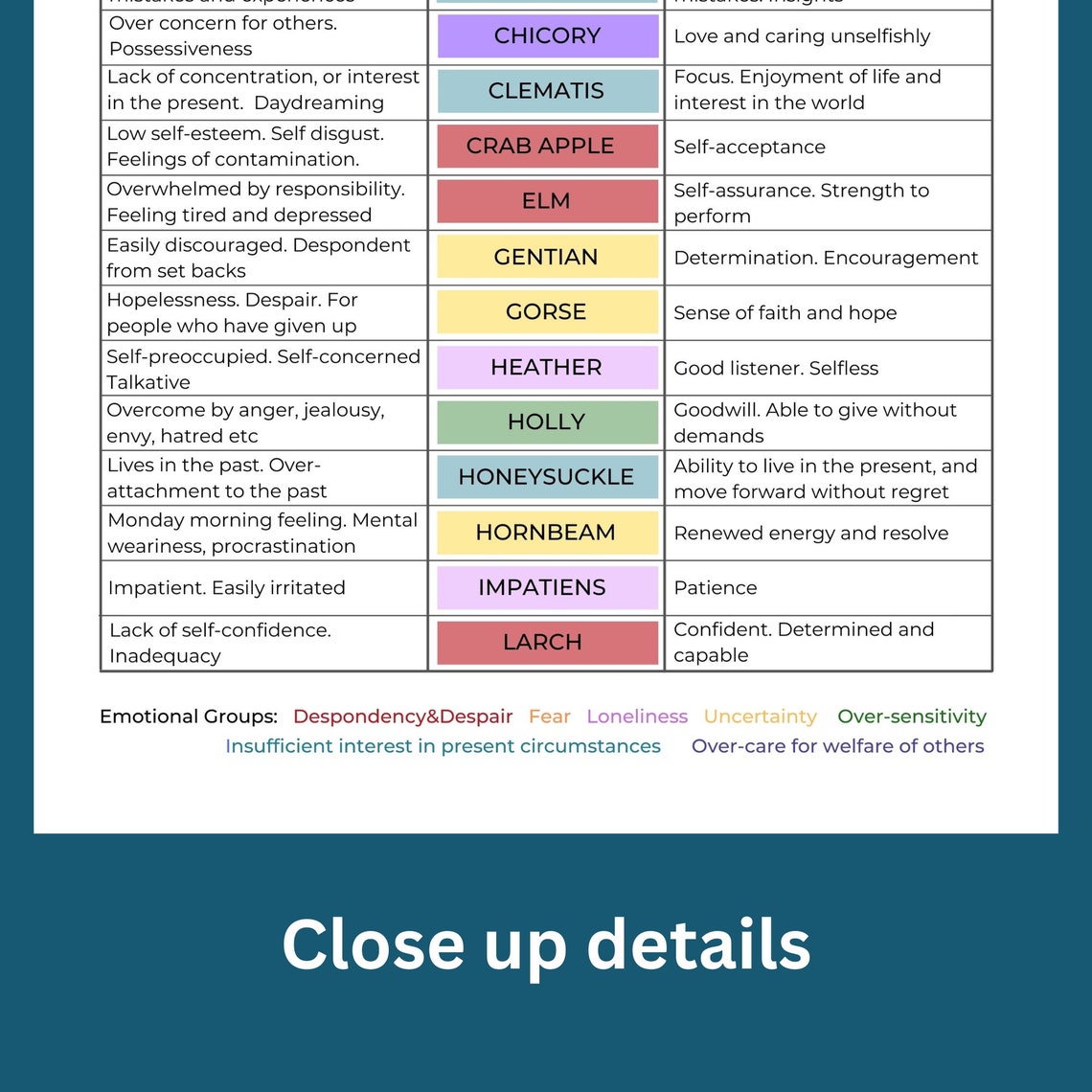 Bach Flower Remedies Chart, 38 Bach Flower Remedy Poster, Bach Flower ...