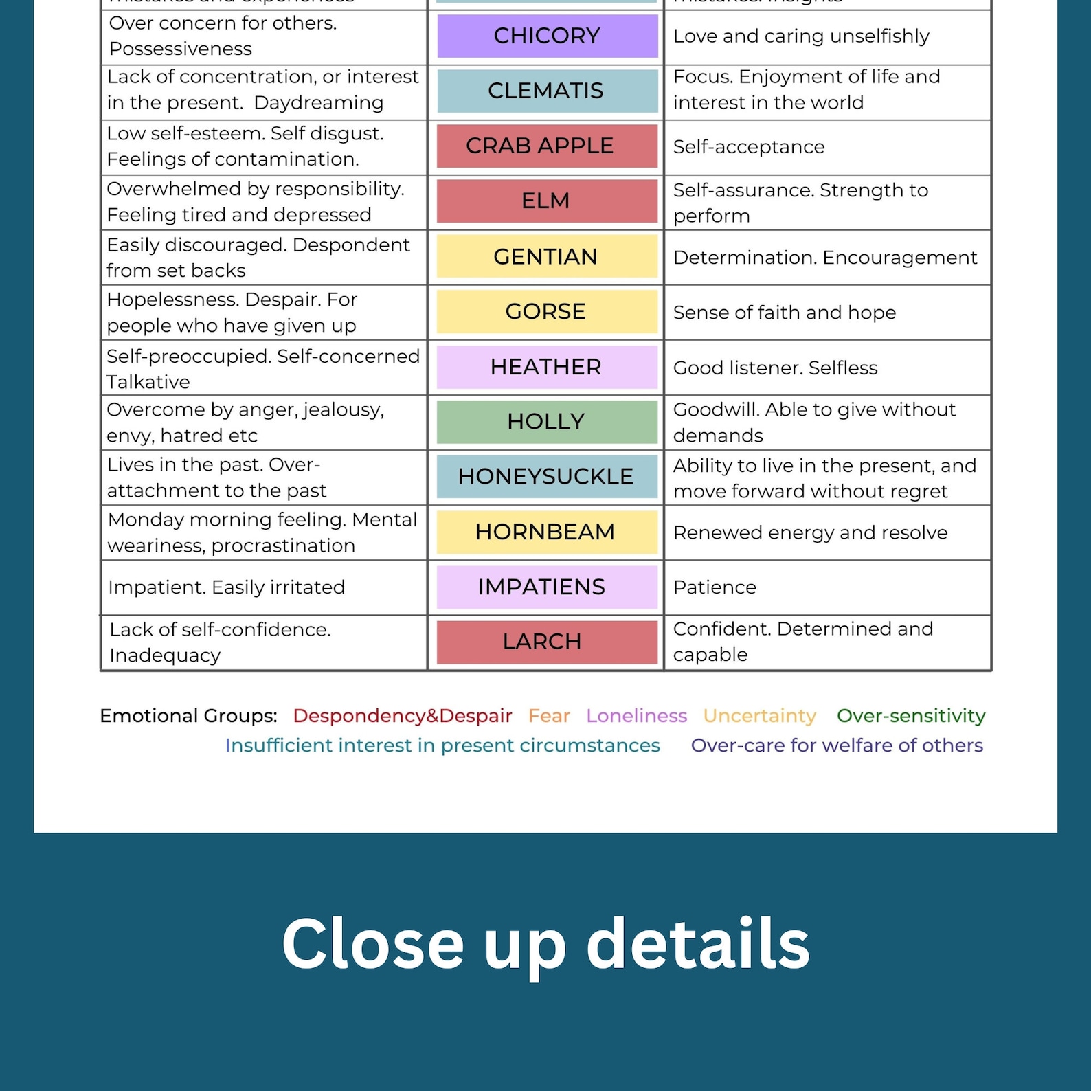 Bach Flower Remedies Chart, 38 Bach Flower Remedy Poster, Bach Flower ...