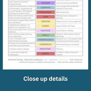 Bach Flower Remedies Chart, 38 Bach Flower Remedy Poster, Bach Flower ...