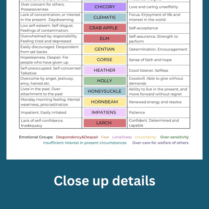 Bach Flower Remedies Chart, 38 Bach Flower Remedy Poster, Bach Flower ...