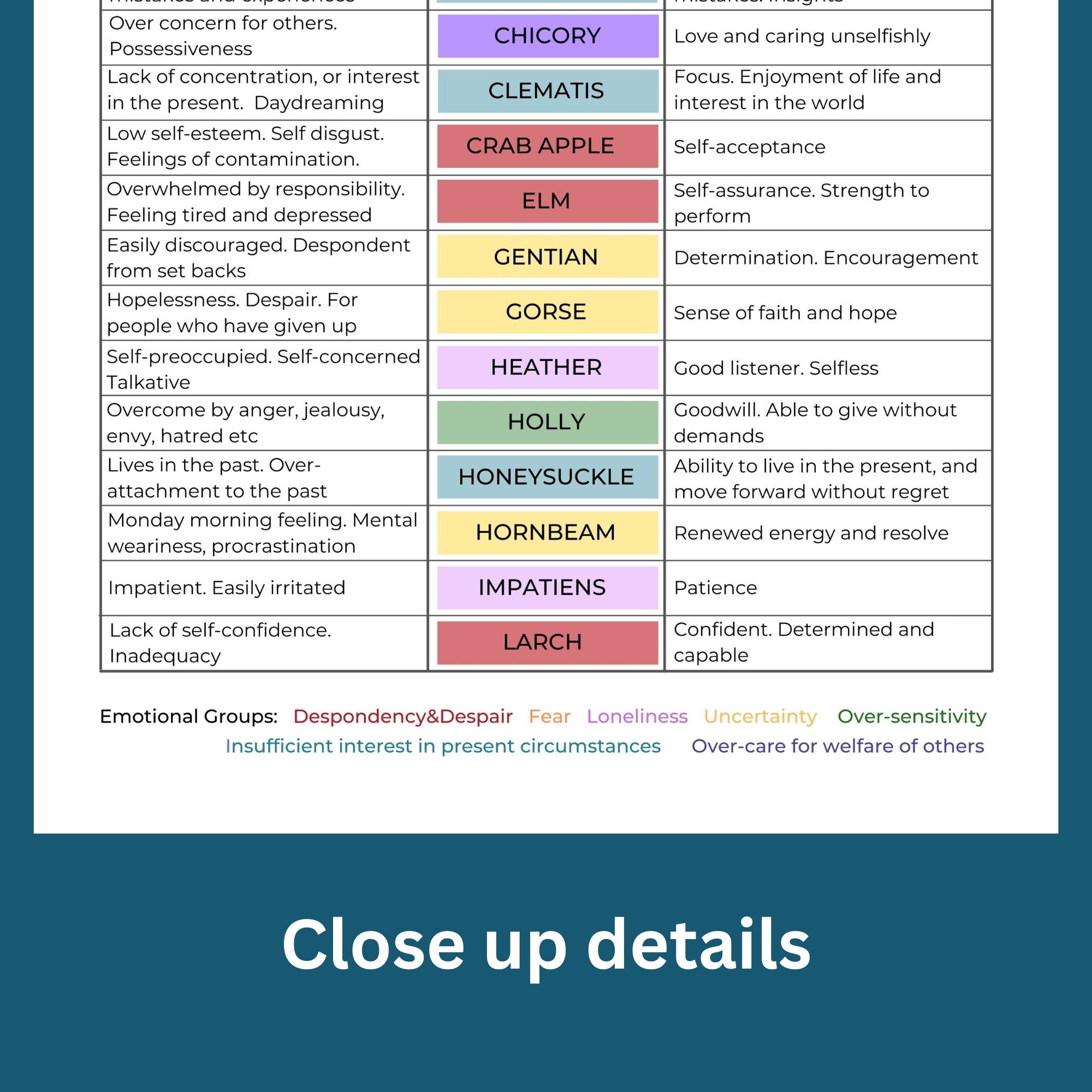 Bach Flower Remedies Chart, 38 Bach Flower Remedy Poster, Bach Flower ...