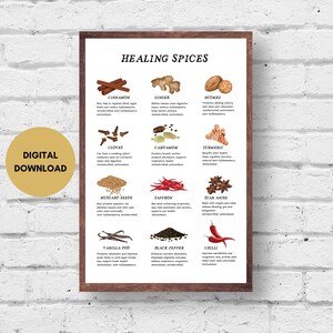 Herb and Spice Print Set, Digital Download, Healing Herbs and Spice ...