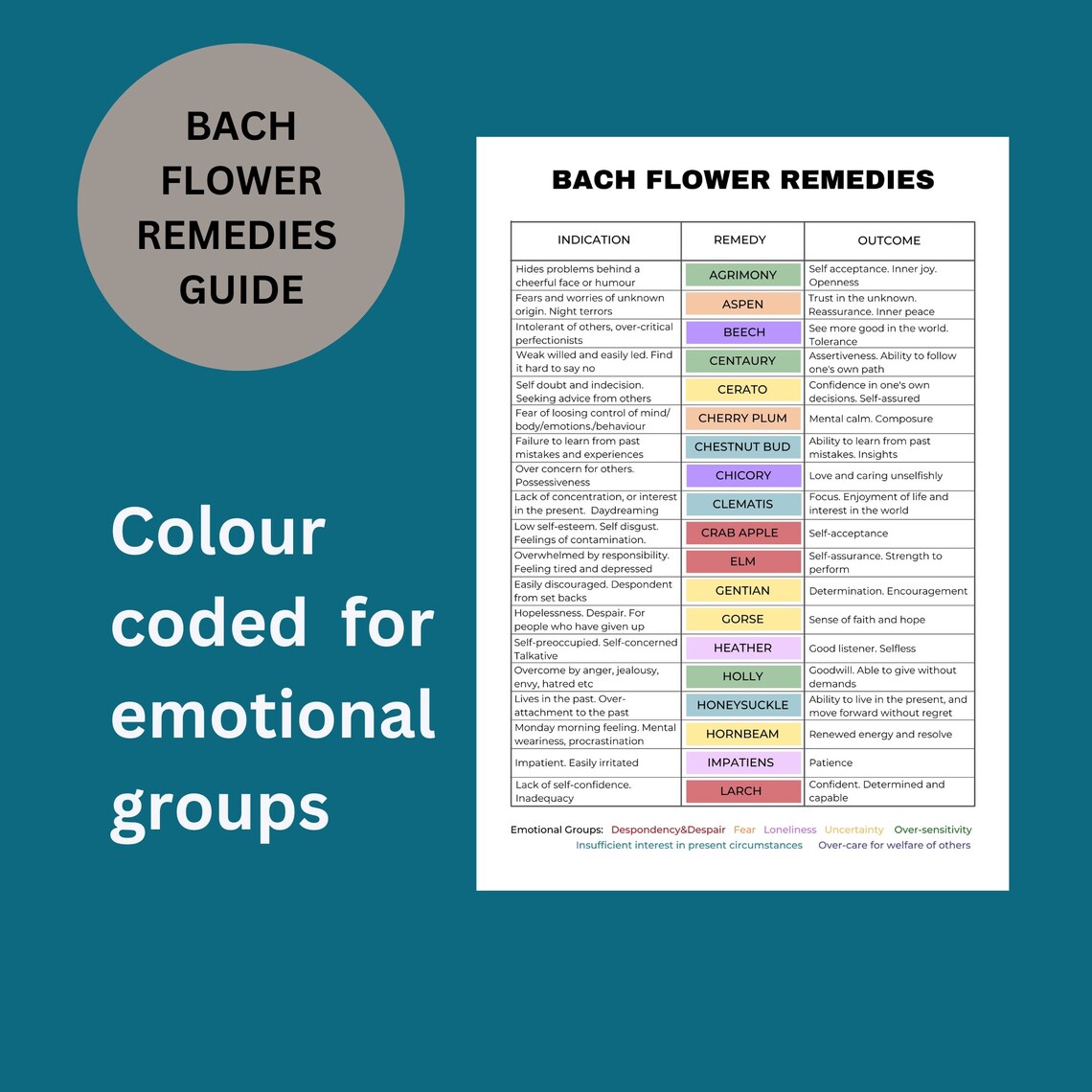 Bach Flower Bundle, Bach Flower Remedies Guide, Chakra Bach Flower ...
