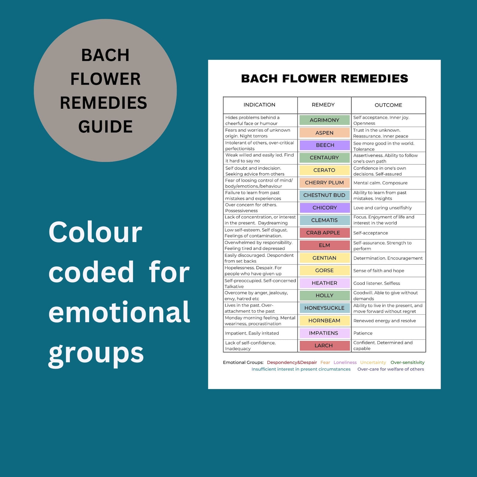 Bach Flower Bundle, Bach Flower Remedies Guide, Chakra Bach Flower ...