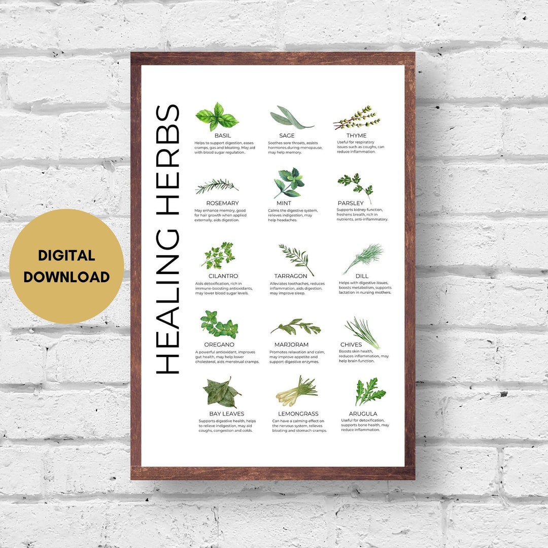 Healing Kitchen Herbs Print, Digital Download, Healing Herbs Poster ...