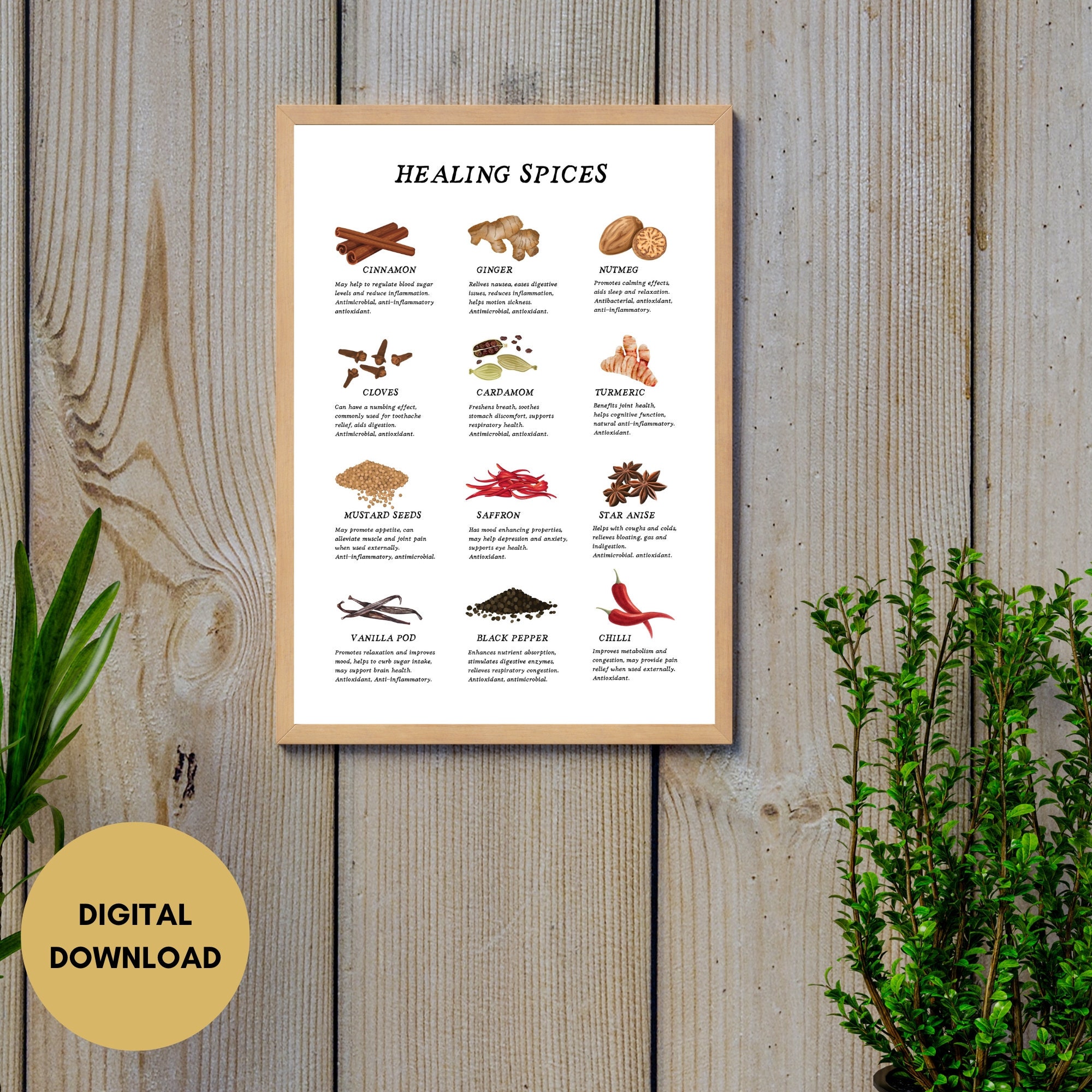 Healing Spices Print, Digital Download, Spice Poster, Spice Guide ...