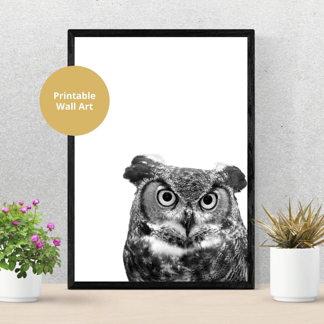 Owl Print, Digital Download, Cool Owl Photo Black and White, Owl Wall ...