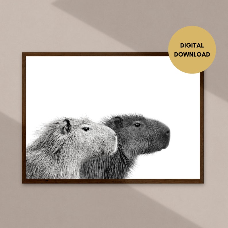 Capybara Print Digital Download Cool Capybara Photo Black and - Etsy