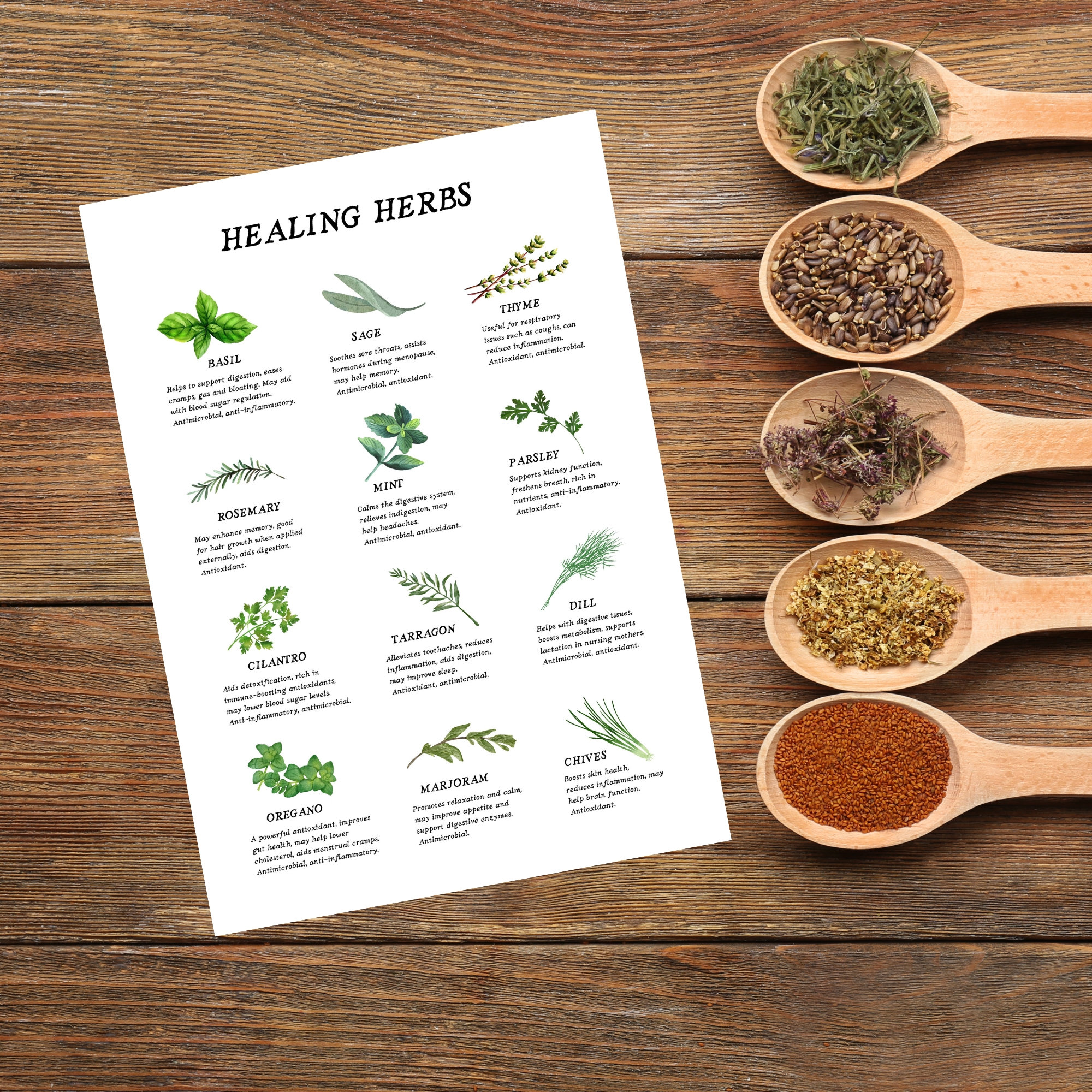 Healing Herbs Print, Digital Download, Herbs Poster, Herb Guide, Herb ...