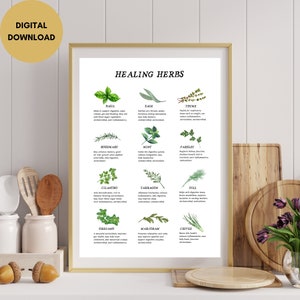 Healing Herbs Print, Digital Download, Herbs Poster, Herb Guide, Herb ...
