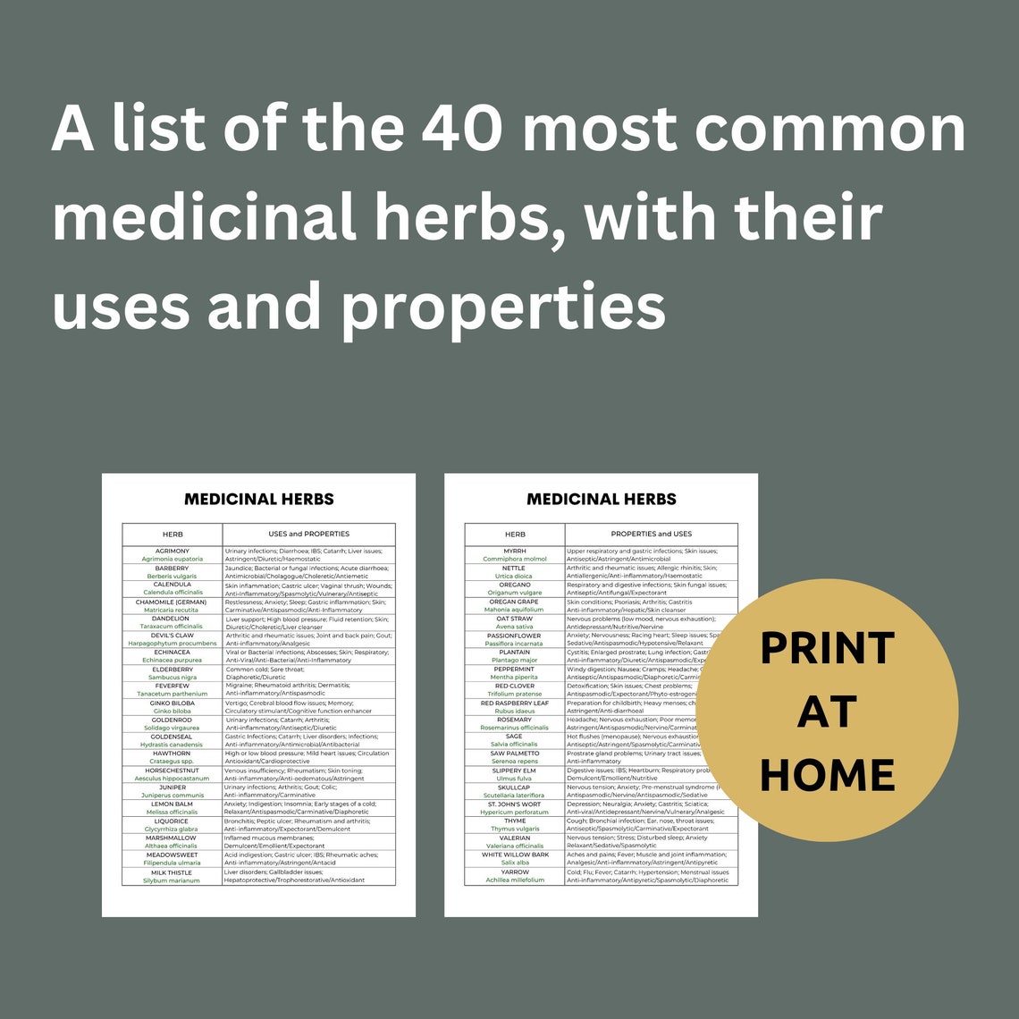 Medicinal Herb Guide, Digital Download, Herb Reference Guide, Herb ...