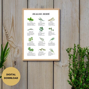 Healing Herbs Print, Digital Download, Herbs Poster, Herb Guide, Herb ...