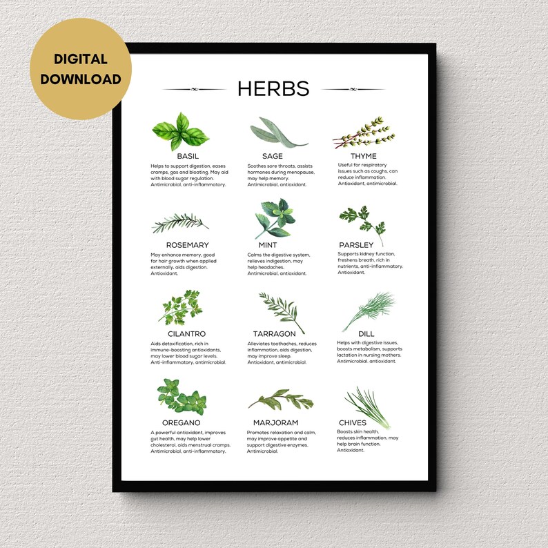 Herbs for Health Print, Digital Download, Herbs Poster, Herb Guide ...