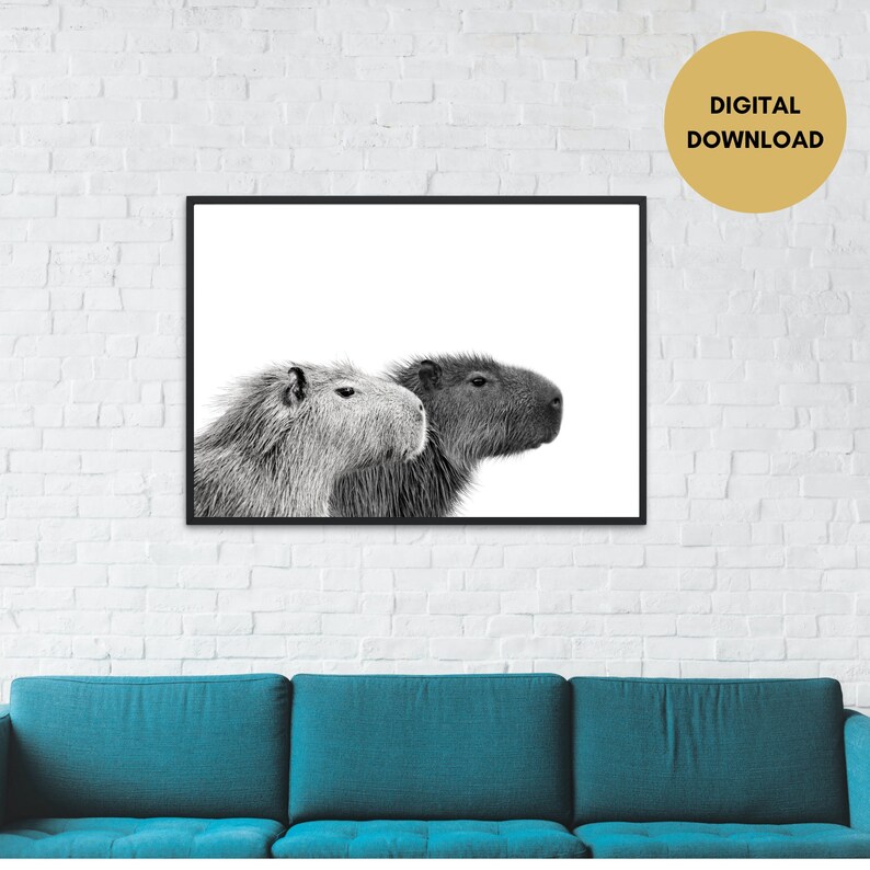 Capybara Print Digital Download Cool Capybara Photo Black and - Etsy
