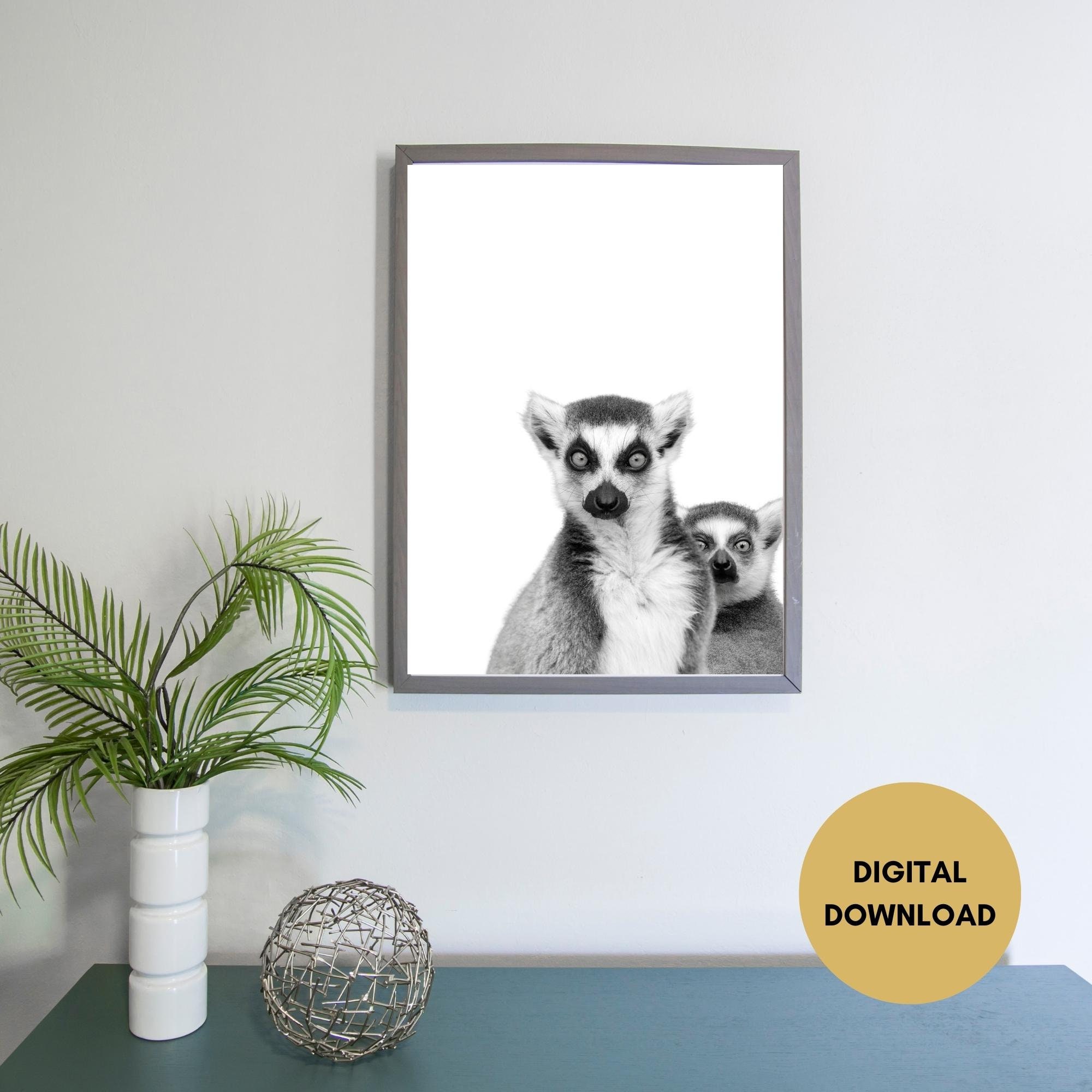 Lemur Printable Digital Download Black and White Photo - Etsy