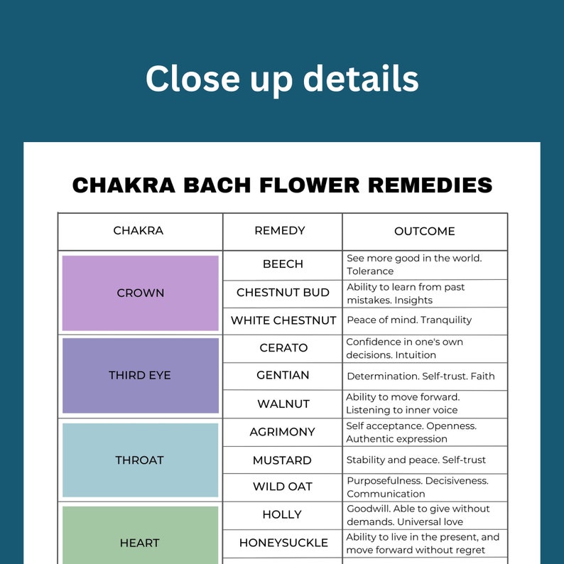 Bach Flower Bundle, Bach Flower Remedies Guide, Chakra Bach Flower ...