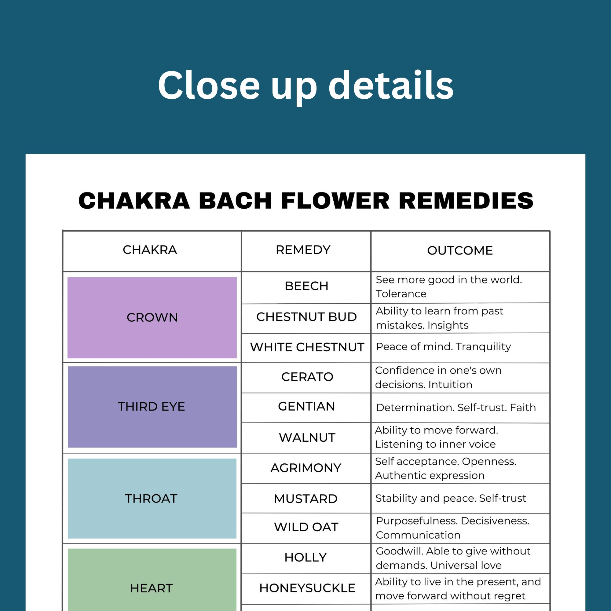 Bach Flower Bundle, Bach Flower Remedies Guide, Chakra Bach Flower ...