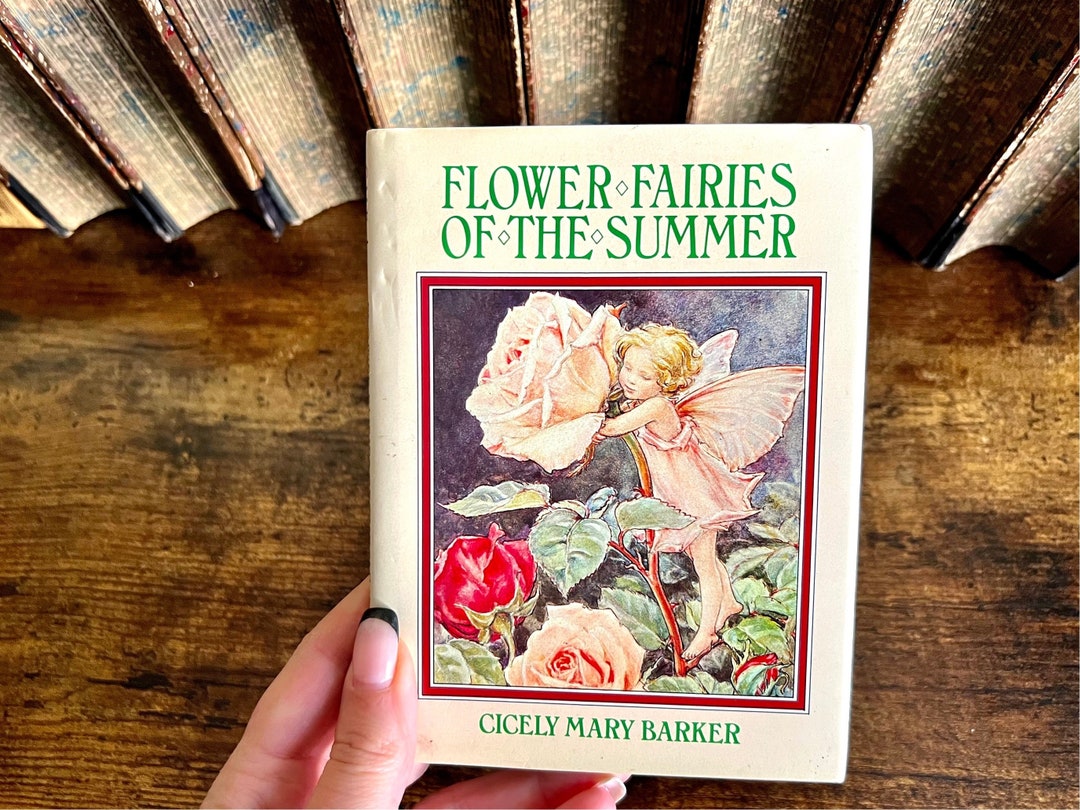 Flower Fairies of the Summer by Cicely Mary Barker 1988, Vintage ...