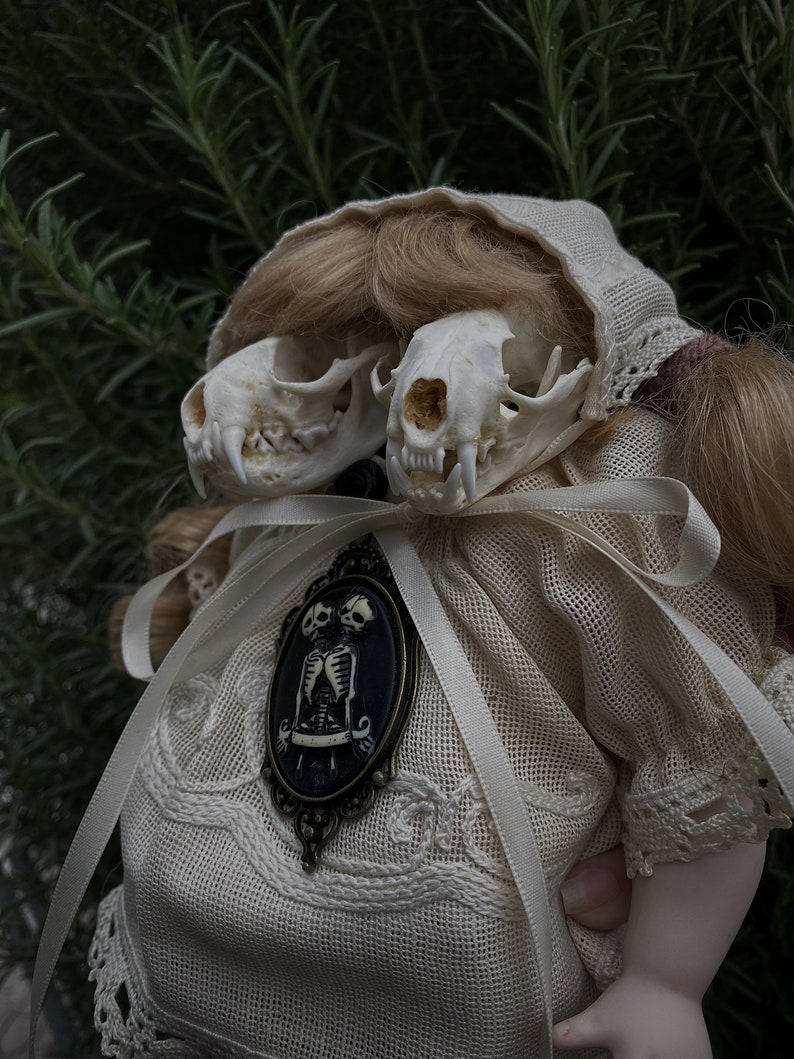 Isabelle & Anabelle Taxidermy Doll Double Headed Skull - Etsy