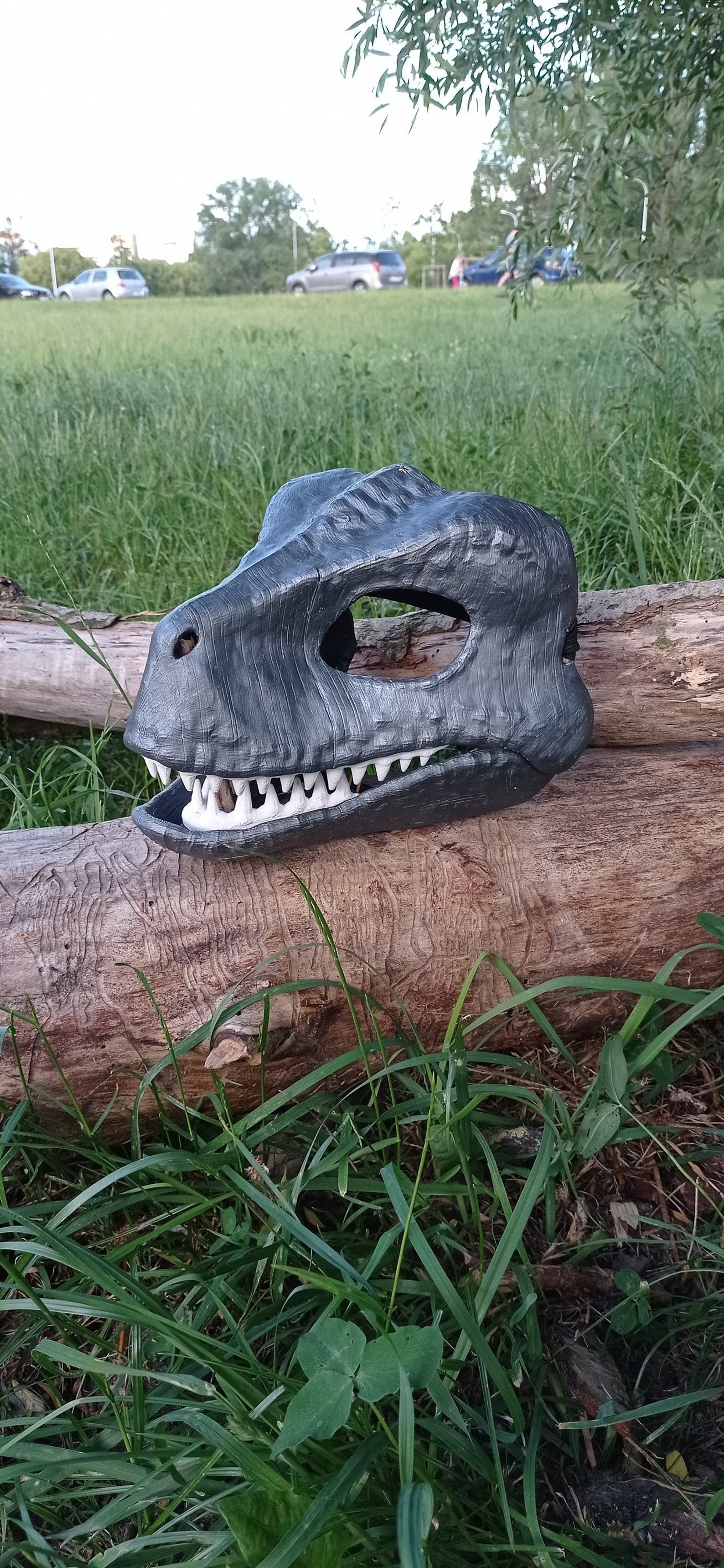 STL Model Raptor Mask 3D for Print - Etsy