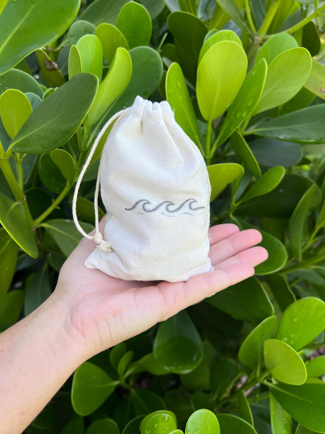 Bag of Seashells - Etsy