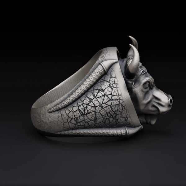 Bull Ring - Etsy