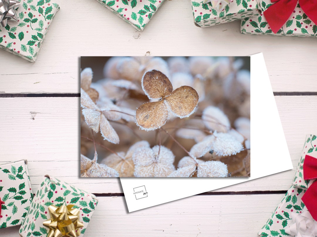 Winter Postcard 22 Christmas Card Advent Gift Card - Etsy