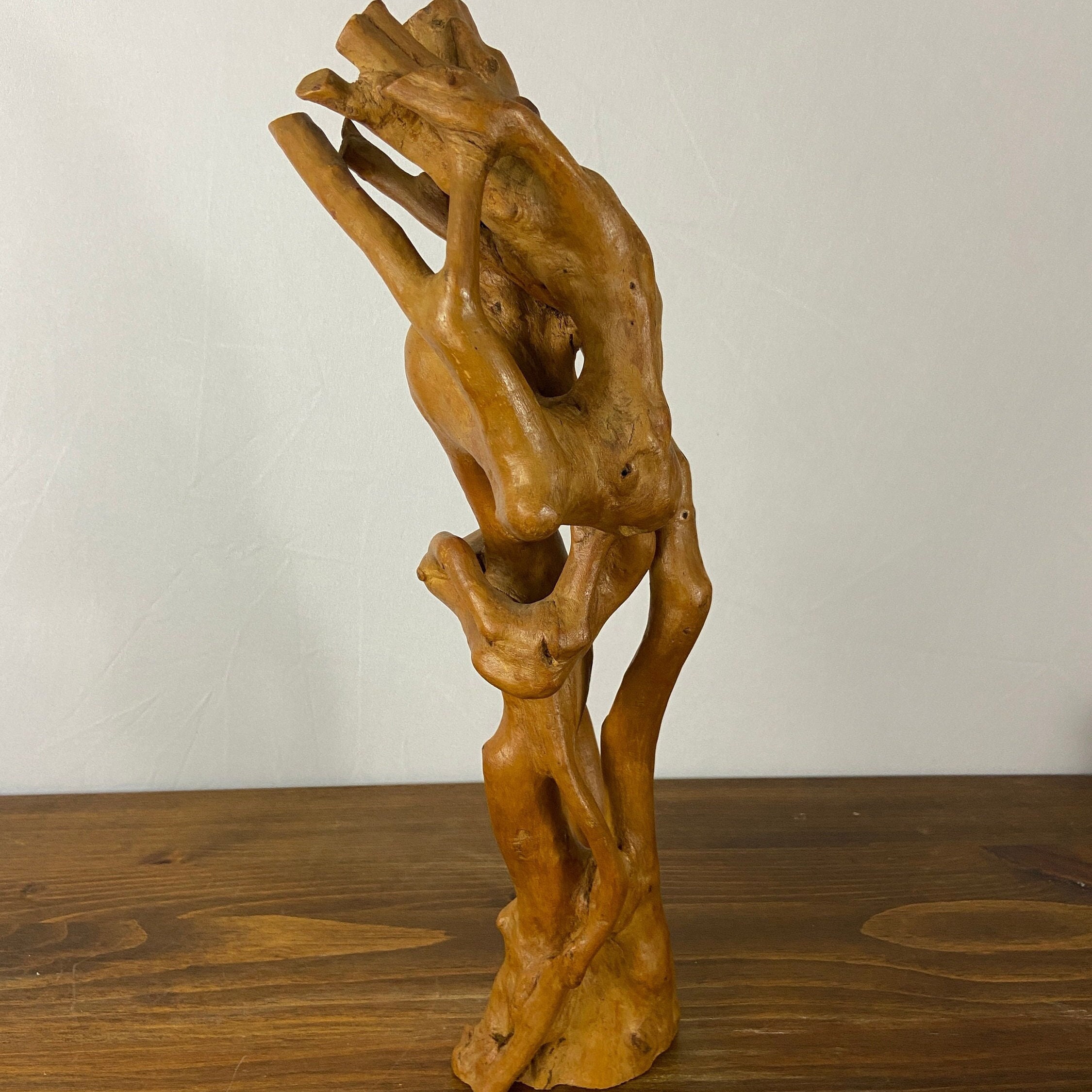 Tree Roots Sculpture