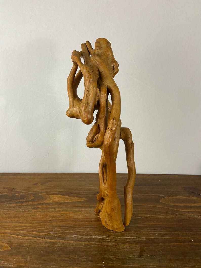 Free Form Wood Sculpture, Tree Root Art, Natural Decor, Twisted Wood ...