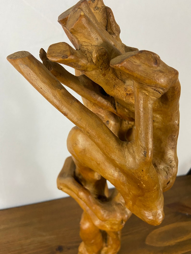 Free Form Wood Sculpture, Tree Root Art, Natural Decor, Twisted Wood ...