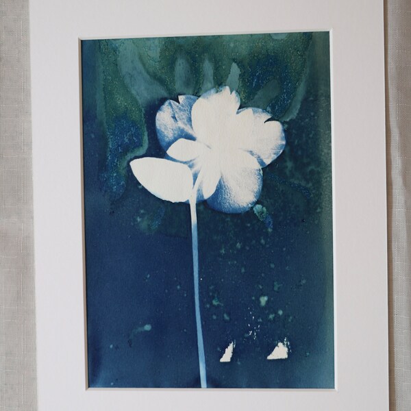Cyanotype - Etsy UK