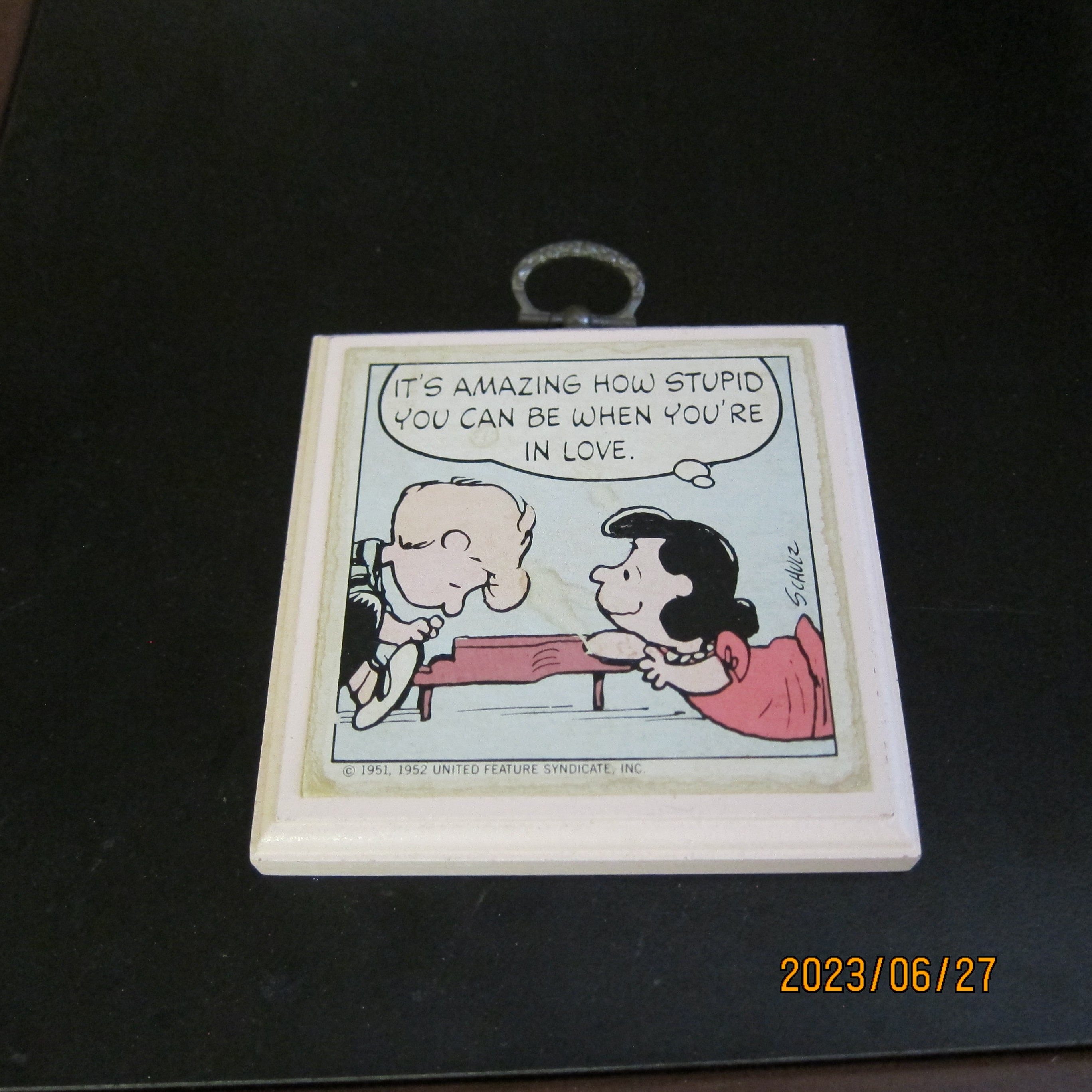 Lucy and Charlie Brown Vintage Hallmark Plaque - Etsy