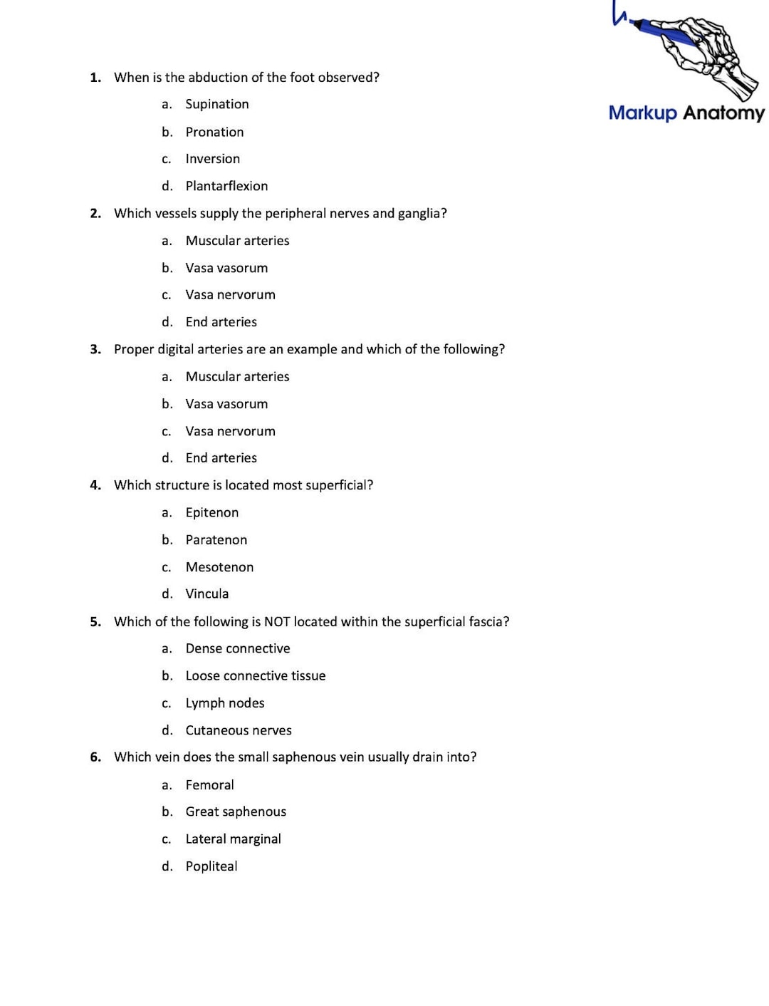 Lower Extremity Anatomy Practice Question Set- Over 400 Questions! - Etsy